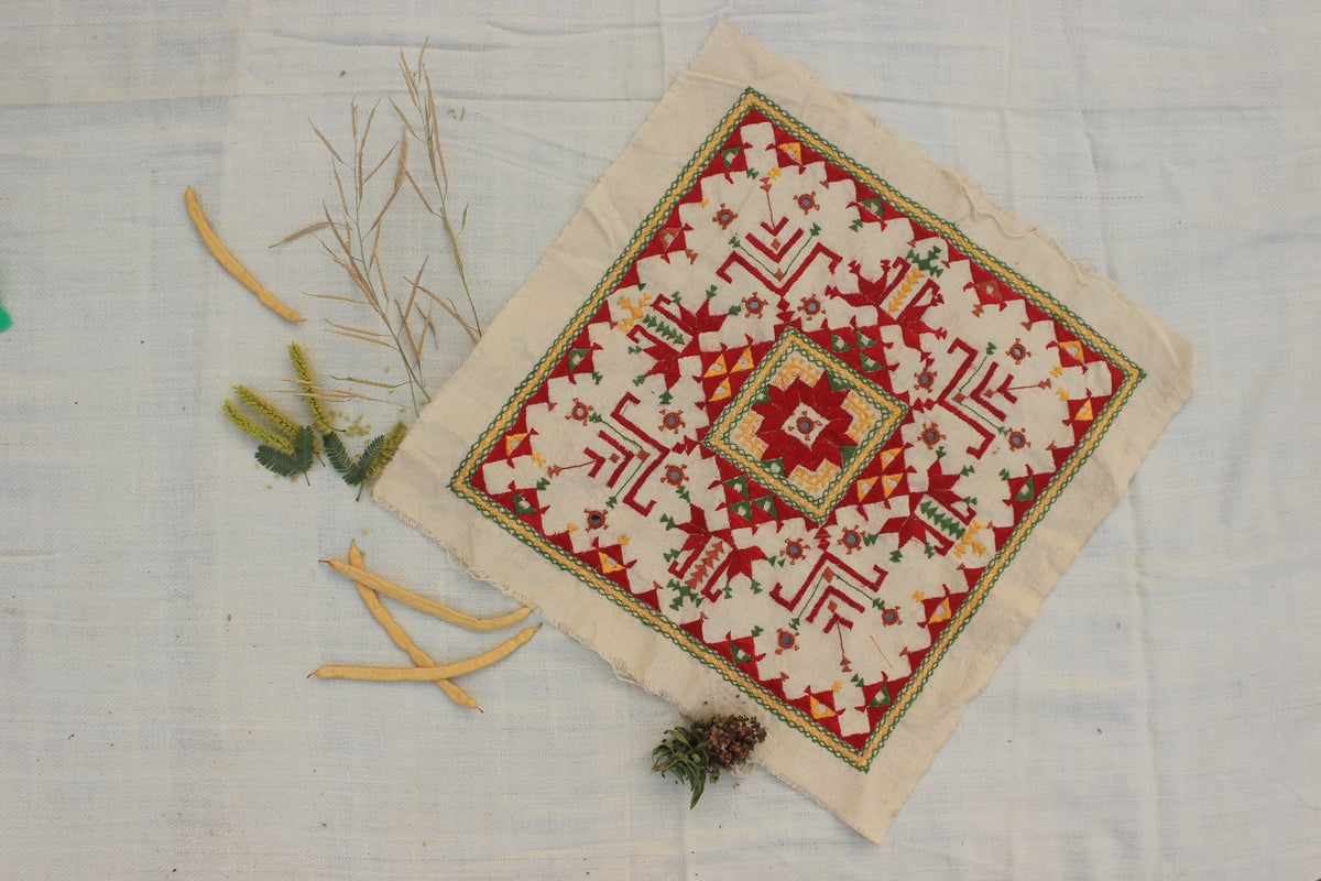 The Motifs of Kashidakari