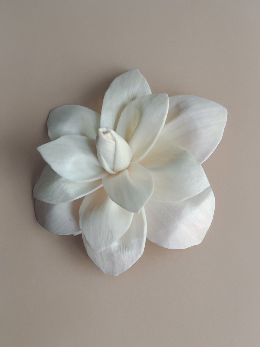 Buy White Magnolia in Sholapith Artwork For home decor