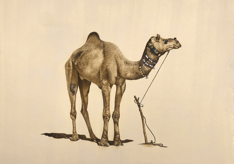 Miniature Camel